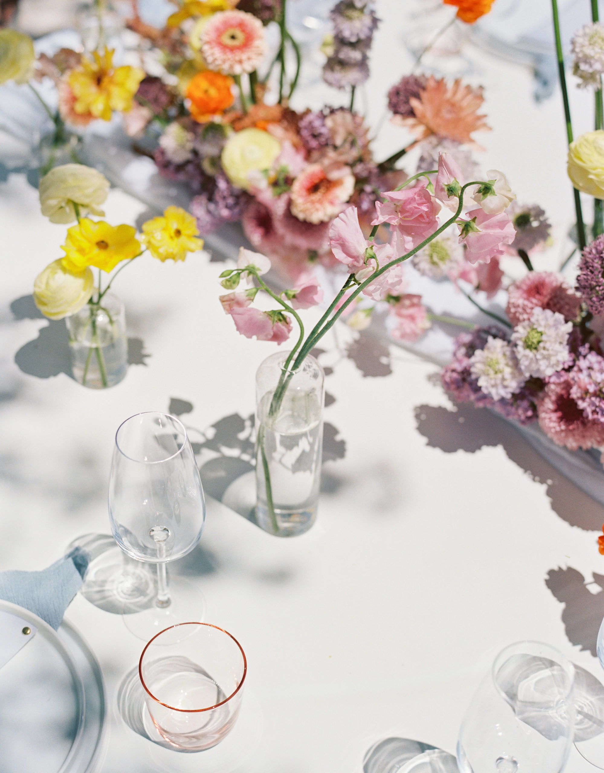 Backyard Spring Picnic Soiree - Calluna Events